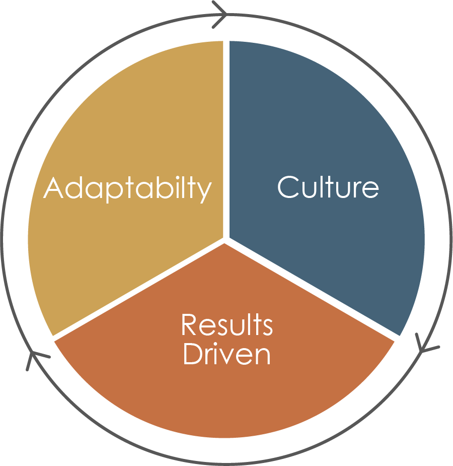About Us | Who is Salelytics and What Do We Do?