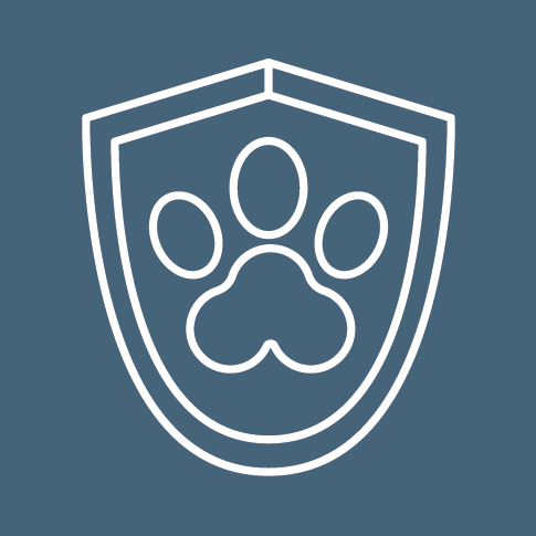 Work at Salelytics | Careers in Inside Sales